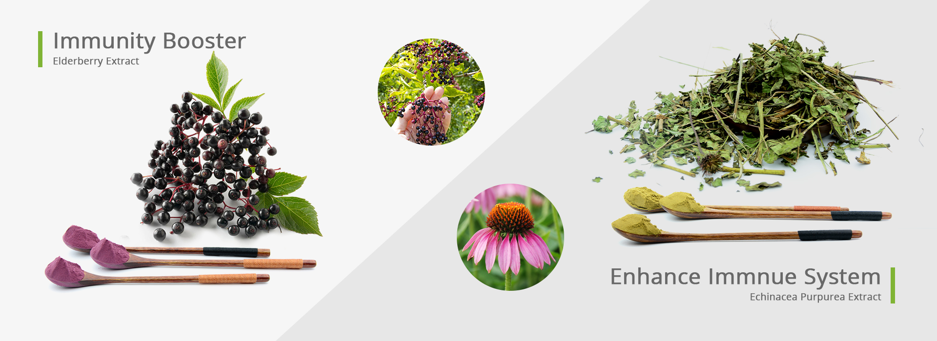 Plant Extract, Herbal Extract, Dry Extract Powder, Natural Ingredient ...